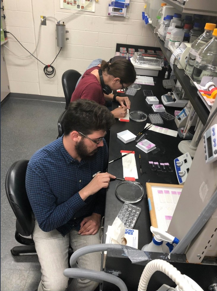 Neuroscience & Animal Cognition