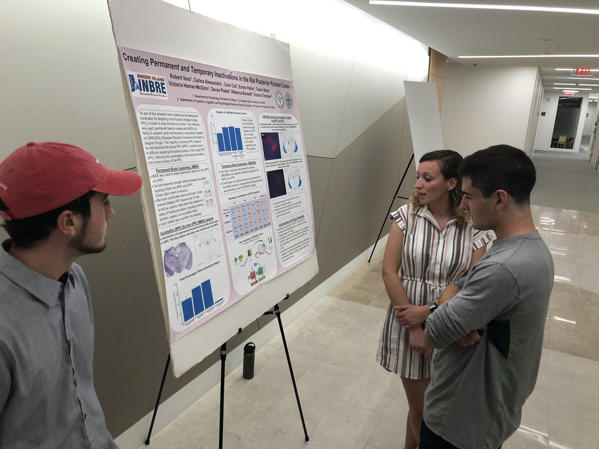 Neuroscience & Animal Cognition